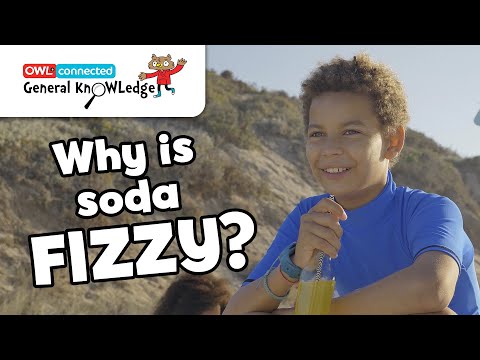 What makes soda fizzy? | General KnOWLedge