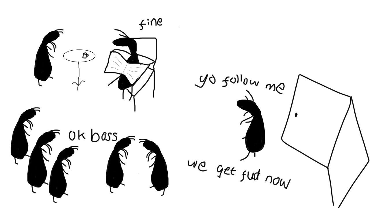 Different foraging strategies in ants