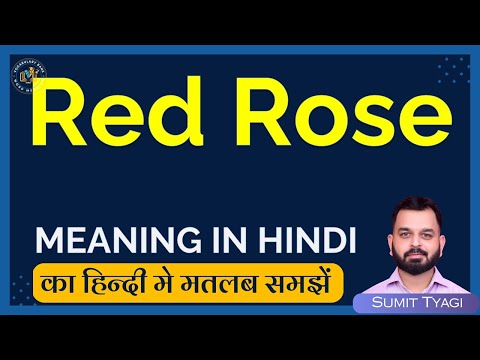 Red rose meaning in Hindi | Red rose english to hindi | Red rose ka matlab kya hota hai