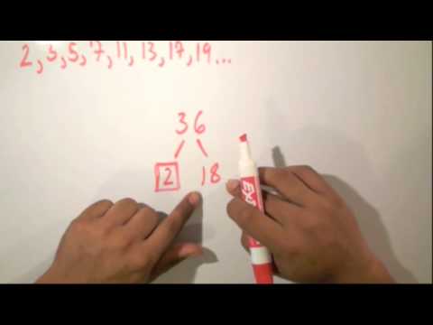 Factoring and Prime Numbers
