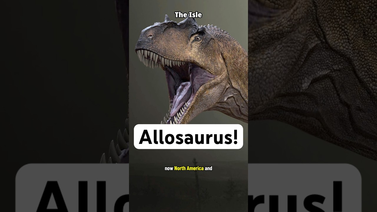 Let’s Talk Allosaurus!