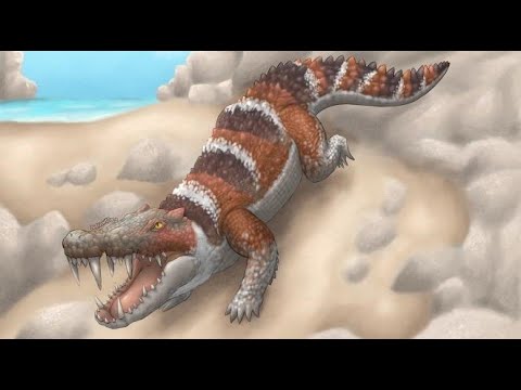 Desert Kapro Survival