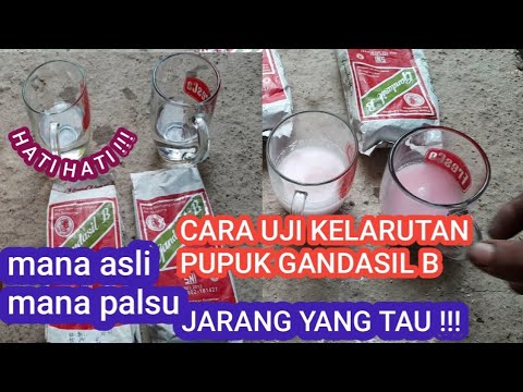 HASIL UJI KELARUTAN PUPUK GANDASIL B ASLI DAN GANDASIL B PALSU