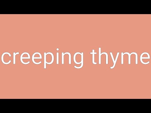Creeping Thyme Definition & Meaning