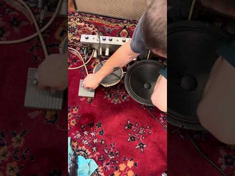 Guild Thunder 1 RVT Chassis and Speakers Project Works 1960s | Reverb