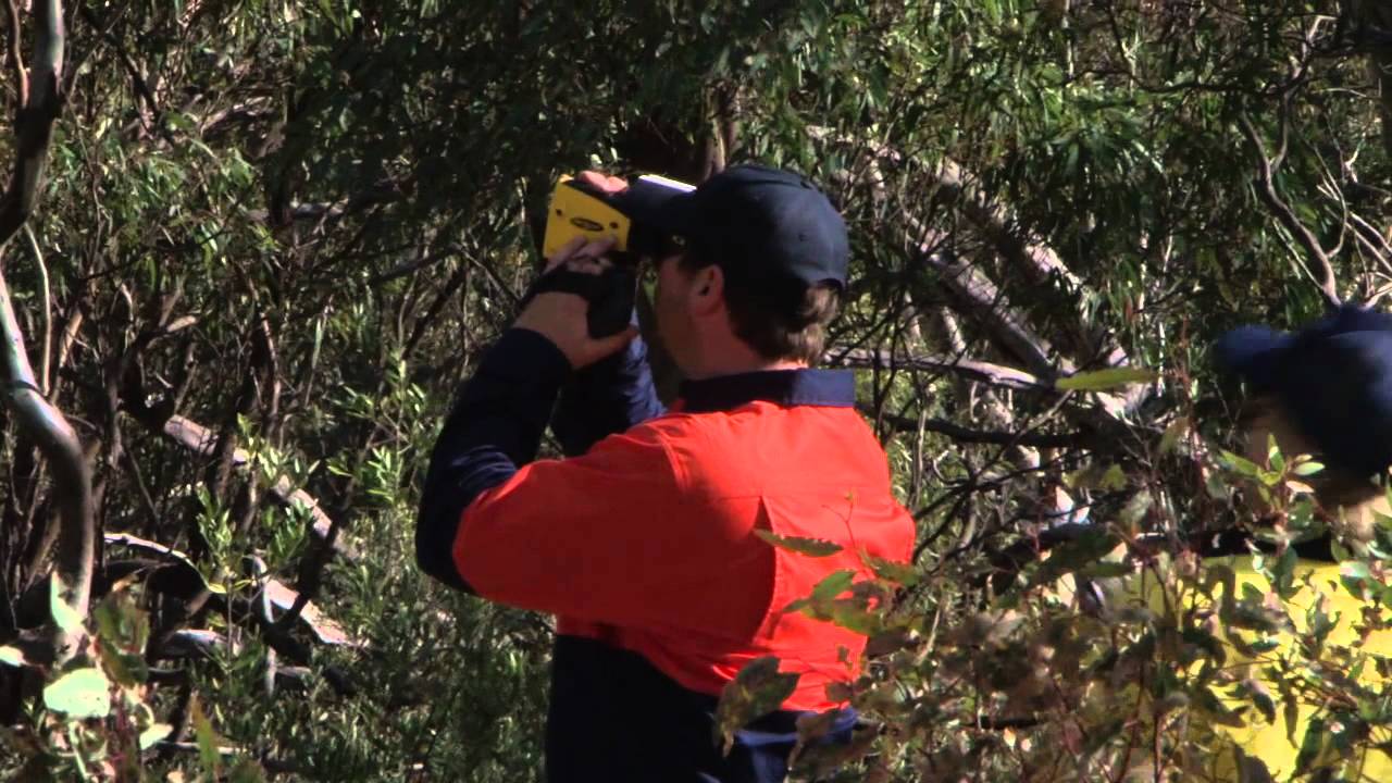 Active Tree Services - Scoper