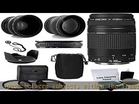 Canon EF 75-300mm f/4-5.6 III Telephoto Zoom Lens with 2X Telephoto Lens, HD Wide Angle Lens and Ac