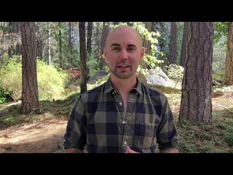 What is a Cacao Ceremony?