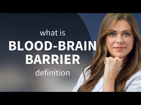 Blood-brain barrier • BLOOD-BRAIN BARRIER definition