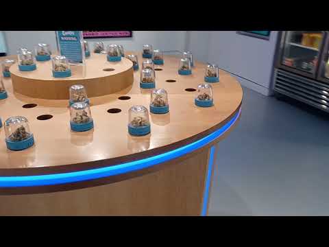 Cookies Sacramento @Cookieswirlc Dispensary Tour Cannabis Fancy Moder Storefronts