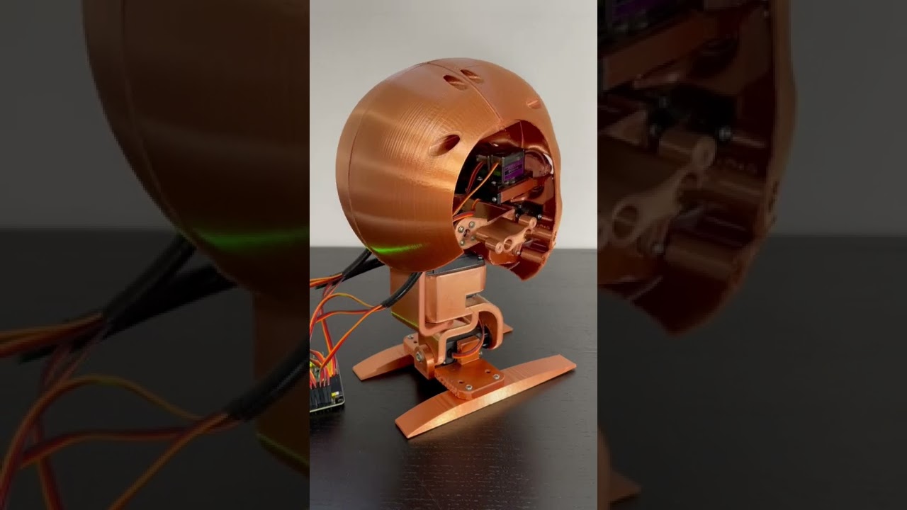 How Youbionic Head works