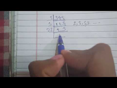 prime factors of 345
