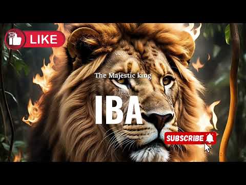IBA OOO CHANT #nathanielbassey #dunsinoyekan #chants #koinonia