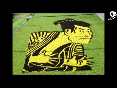 [뉴데일리TV] Hakuhodo의 쌀-코드(Rice-code)-칸 라이언즈
