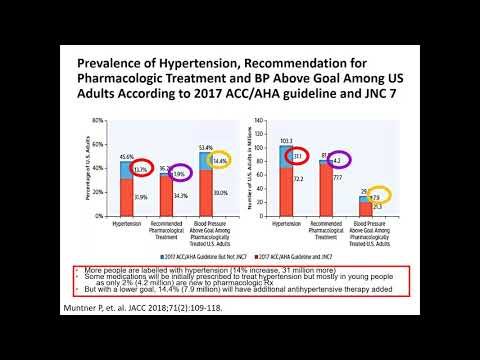 2018: Update on the Most Recent 2017 ACC/AHA Guideline on Hypertension