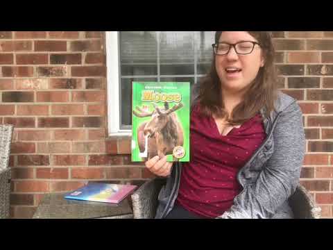 “Moose” by Kristin Schuetz