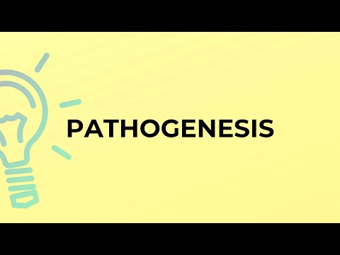 What is the meaning of the word PATHOGENESIS?