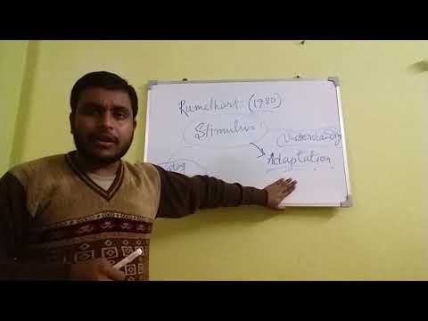 Schema Theory (Complete)