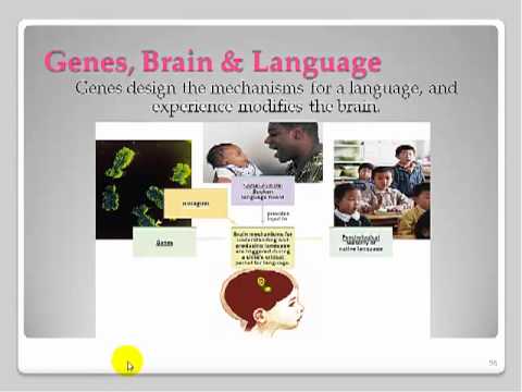 AP Psych Language Acquisition