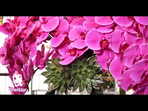 The $1,150 Floral Arrangement That Says It All - Money Menu