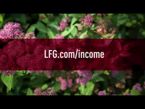 Lincoln Financial Group and the Alliance for Lifetime Income