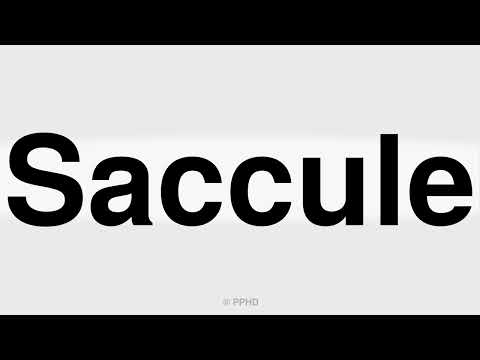 How to Pronounce Saccule