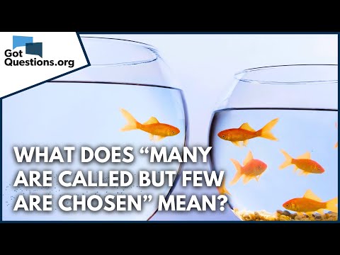 What does “Many are called but few are chosen” in Matthew 22:14 mean? | GotQuestions.org