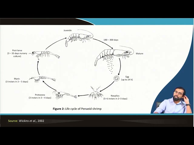 A Comprehensive Guide to Shrimp Culture: Site Selection, Pond Design ...