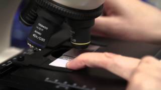 jamurfuzziblog: Fungsi Koh Pada Pemeriksaan Jamur