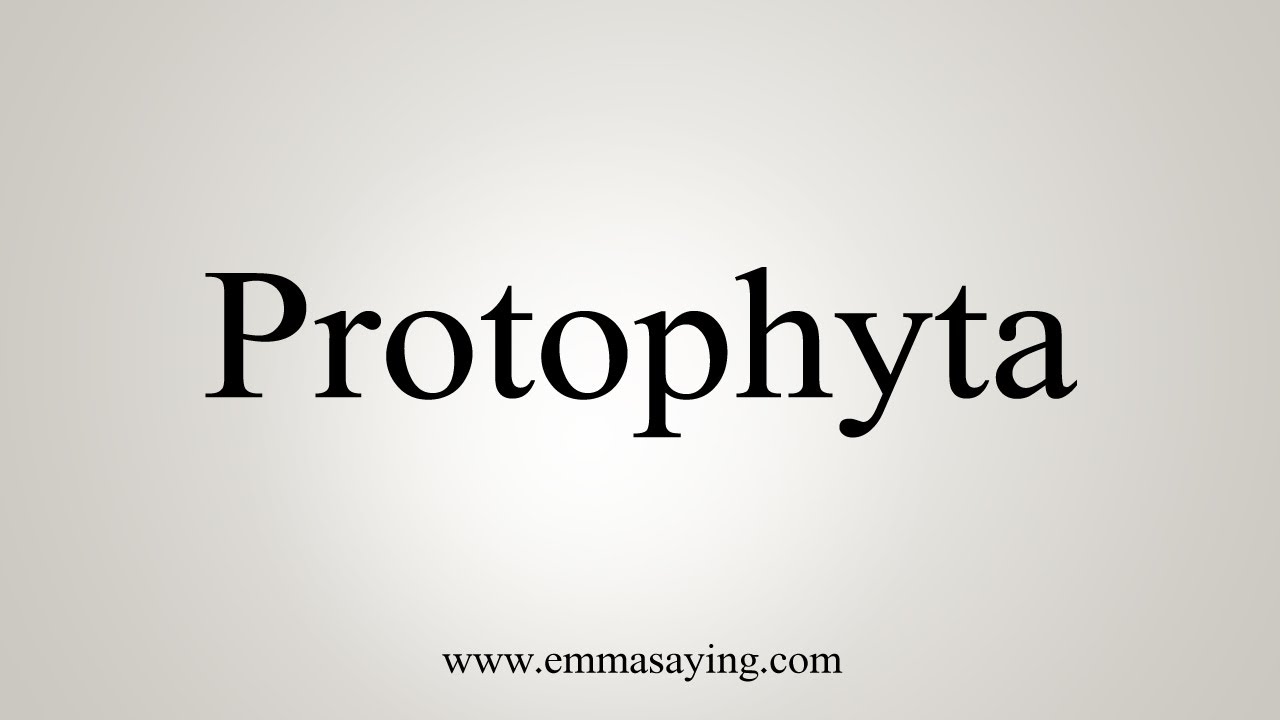 How To Say Protophyta