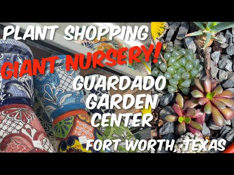 157: Plant Shopping: Guardado Garden Center | Fort Worth, Texas | Gigantic Nursery!