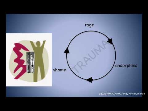 ICMI20: Sue Parker Hall - “Male Shame: How Psychotherapy May be to Blame and Could Improve its Aim!”
