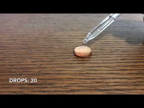 Coin Dropper | Under the Dome