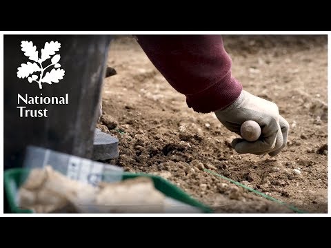 Unearthing our rare prehistoric burials at Long Bredy, Dorset
