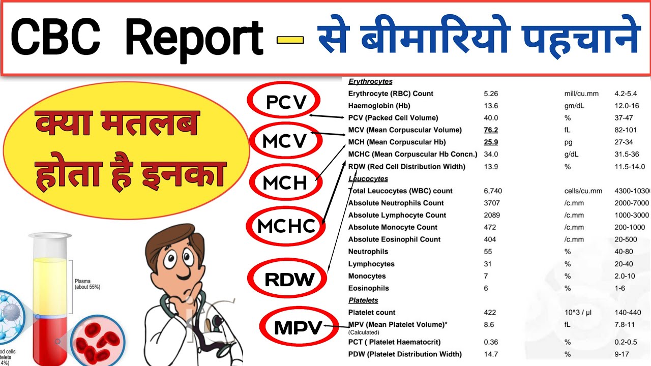 Understanding CBC Reports: A Comprehensive Guide to Blood Tests | Galaxy.ai
