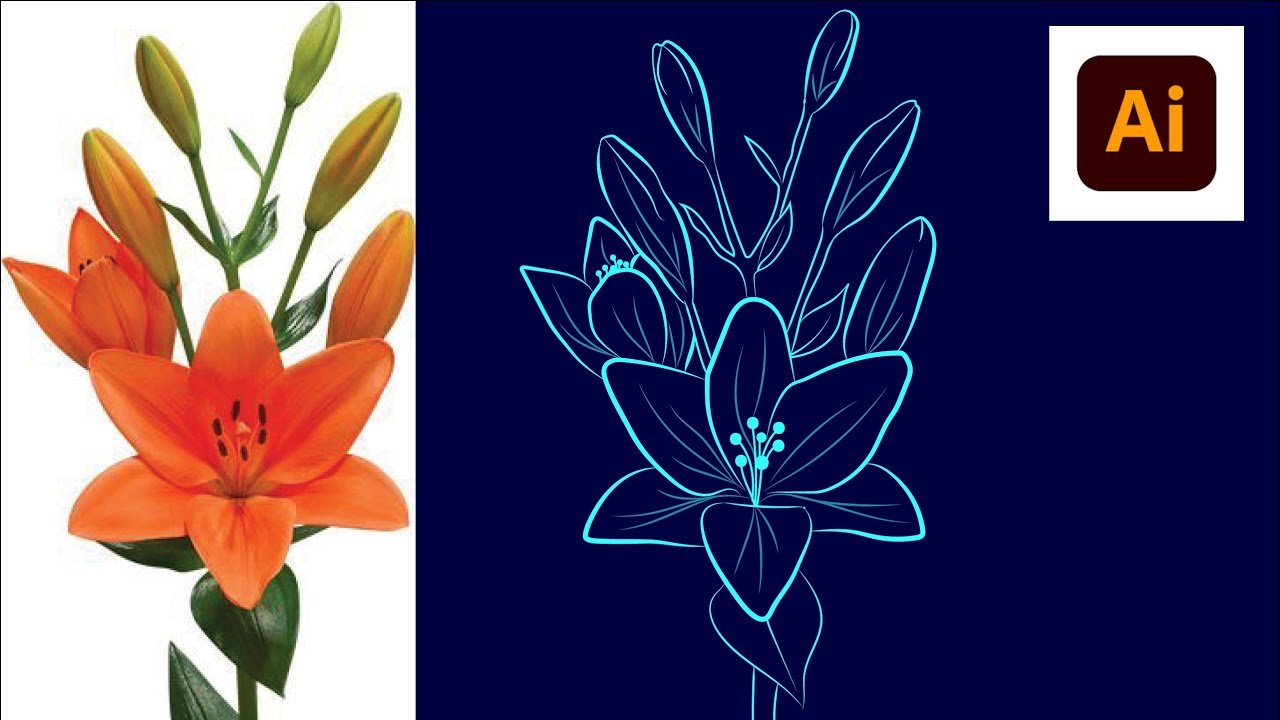 Flower Line art Drawing Illustrator VECTOR  2022