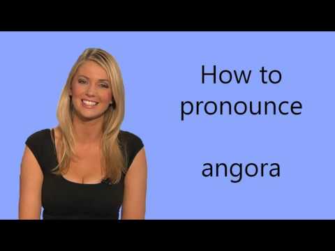 How to pronounce angora