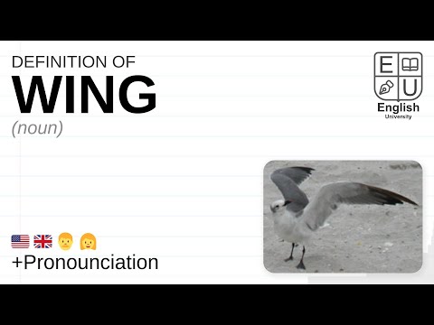 WING meaning, definition & pronunciation | What is WING? | How to say WING