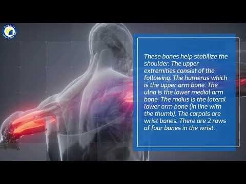 An overview of anatomy and physiology