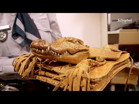 Behind the scenes at Schiphol Customs