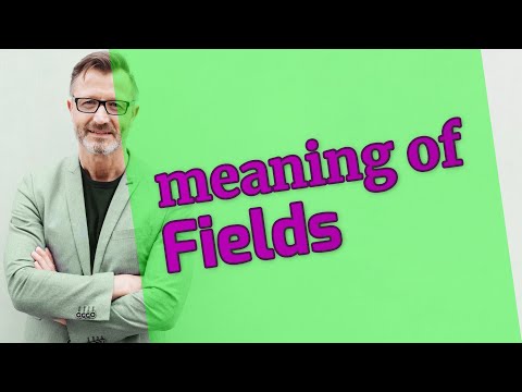 Fields | Meaning of fields 📖 📖
