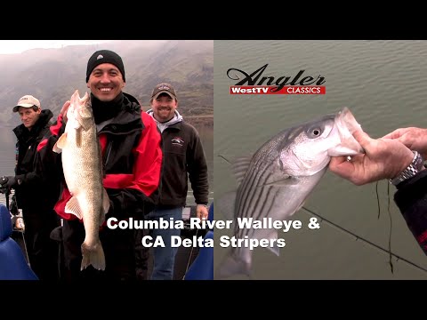 Angler West Classic: Columbia River Trophy Walleye & California Delta Striped Bass