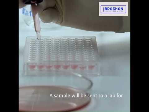 5 How to Perform a Lab based DNA Test
