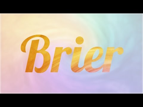 Significado de Brier, nombre Francés para tu bebe niño o niña (origen y personalidad)