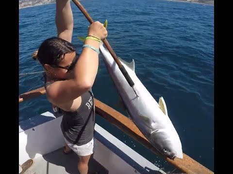 2015 Redondo Special Yellowtail on a live Mackerel