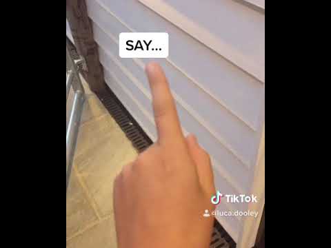 If someone calls you stupid say.....