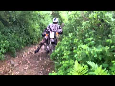 Wheelys run to Newton Ferrers
