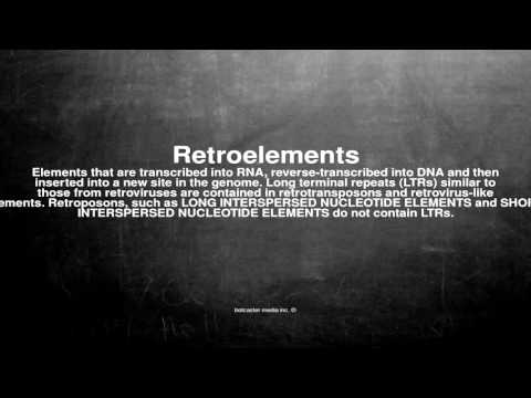 Medical vocabulary: What does Retroelements mean