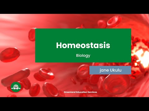 Regulation of Internal Environment (Part 1): Homeostasis | Meaning & Importance