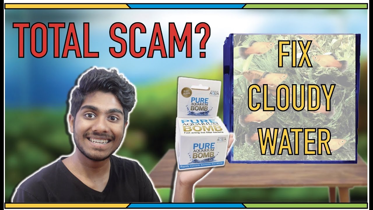 Evolution Aqua Aquarium Clarity BOMB Review! waste of money or worth it?